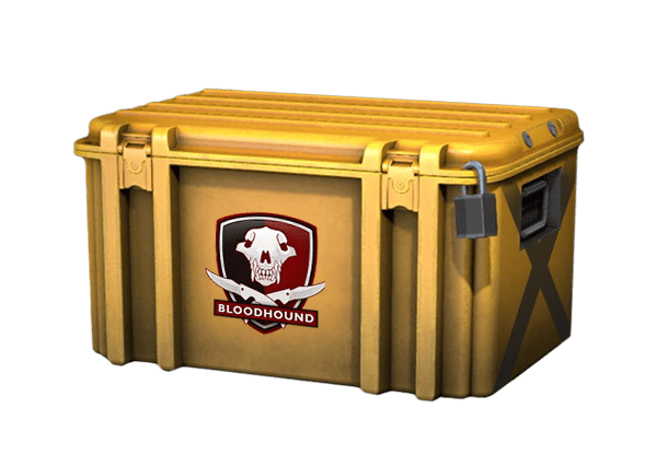 Falchion Case case CS2 [CS GO] - Open now with GO:GO:CASE | GO:GO:CASE